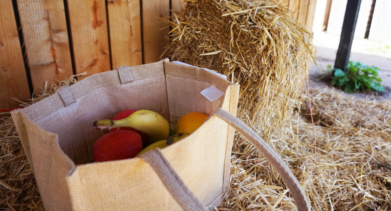 Cyrenians launches new online system for organic veg bags