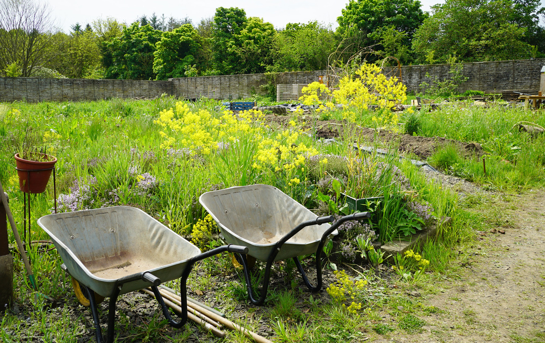 Linburn Walled Garden: A Year On
