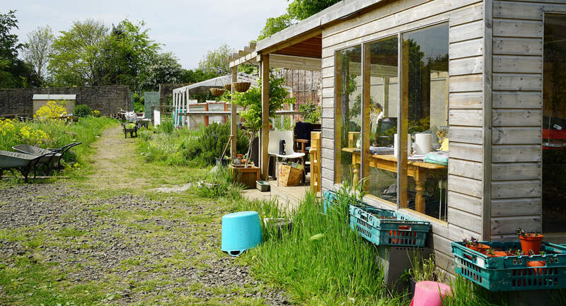 Linburn Walled Garden: A Year On