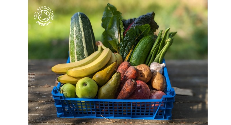 Cyrenians Organic Fruit & Veg Bag Subscription