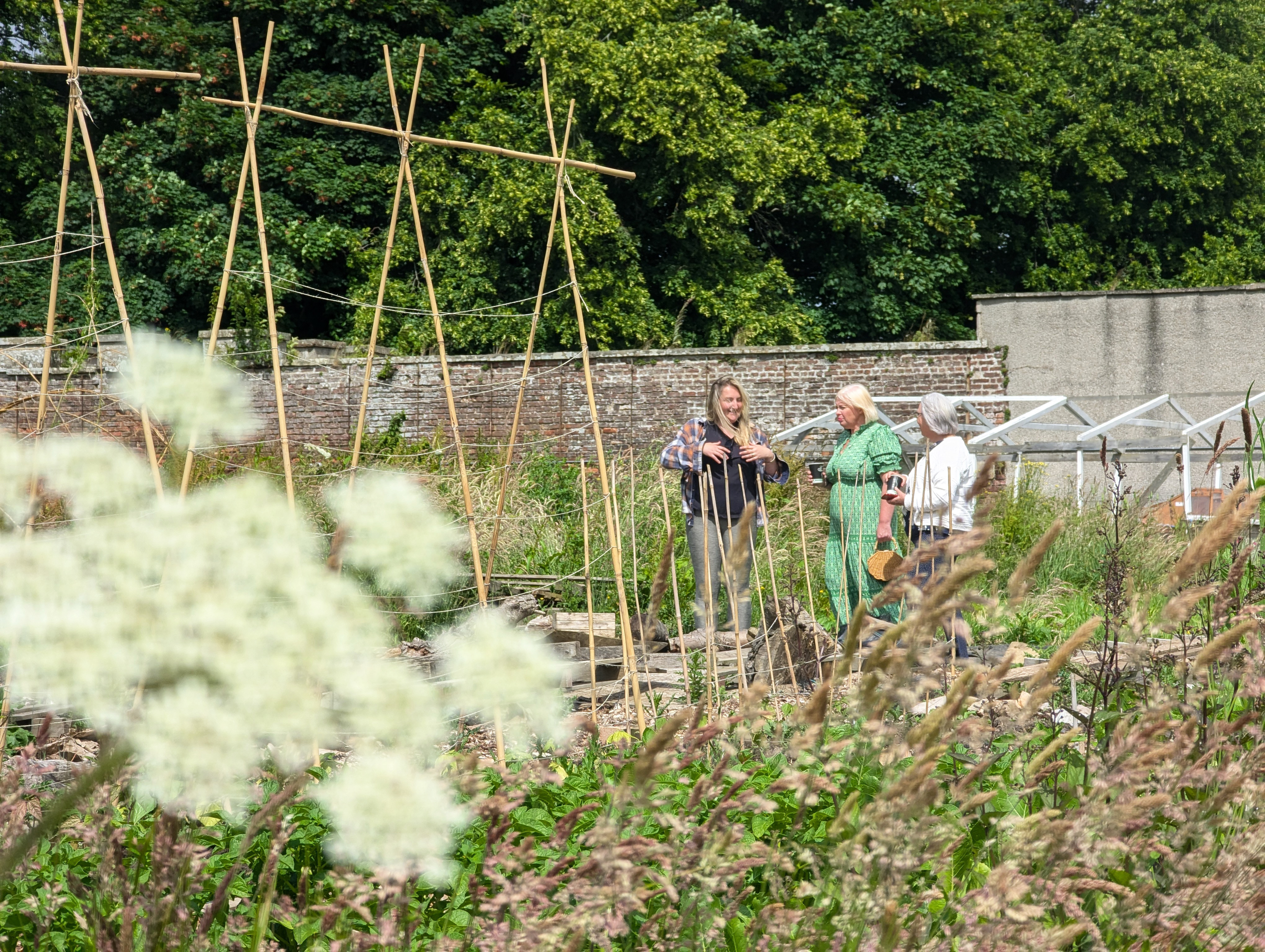 Celebrating Remembrance Day – Our Linburn Walled Garden
